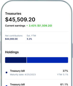 Bond Account - Lock in 5.6% yield - Public.com
